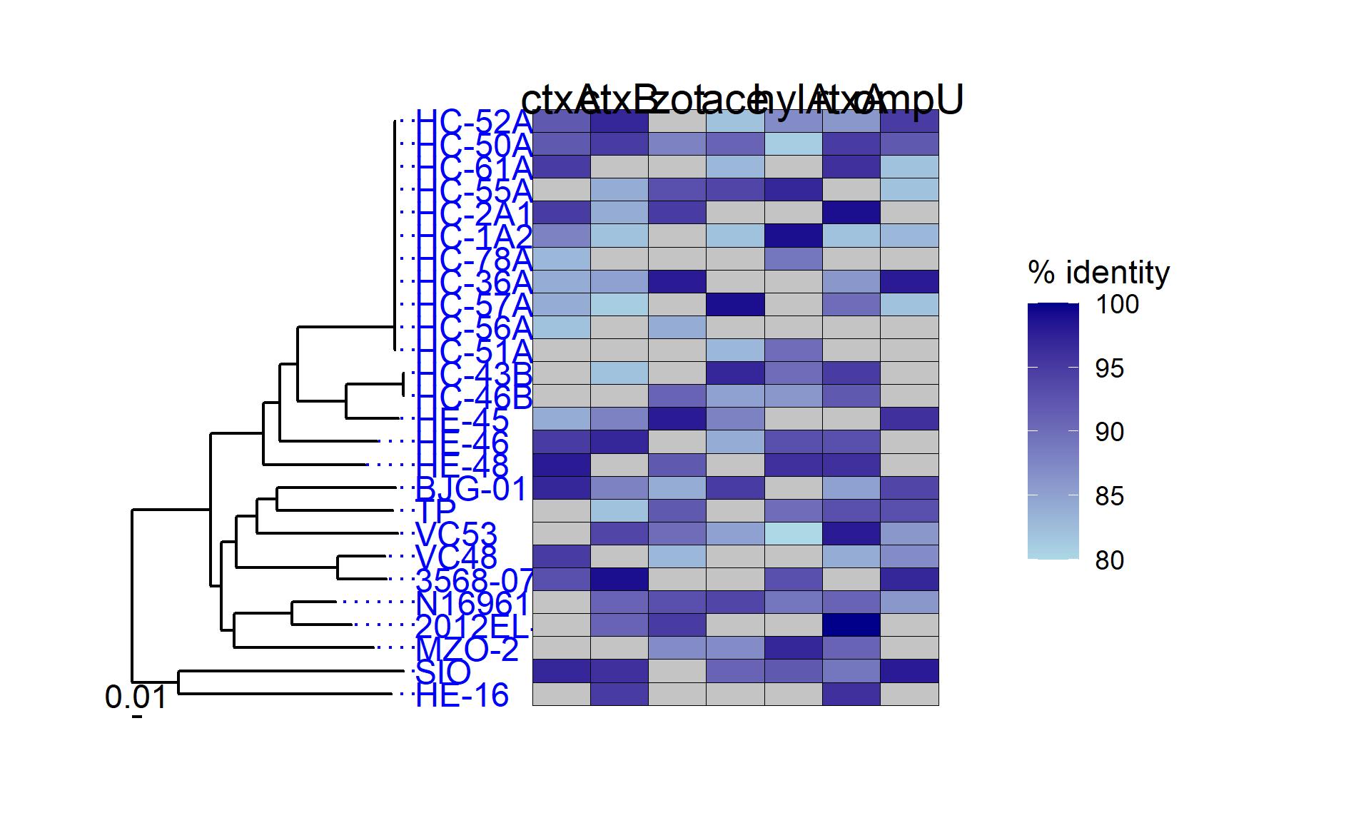 Data Visualization Portofolio | Edo Danilyan