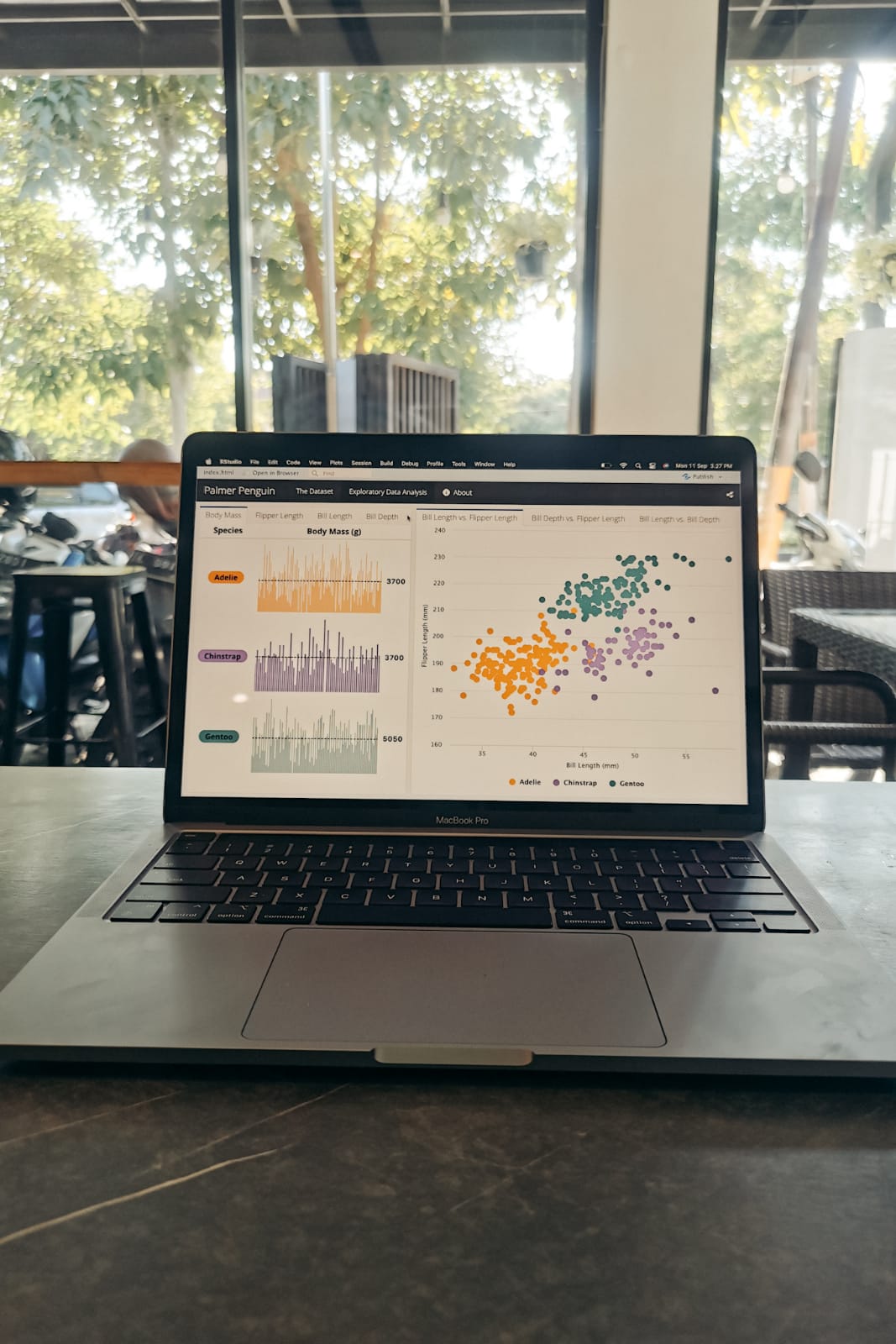 Dashboard Collection and Presentation Slides Samples | Edo Danilyan